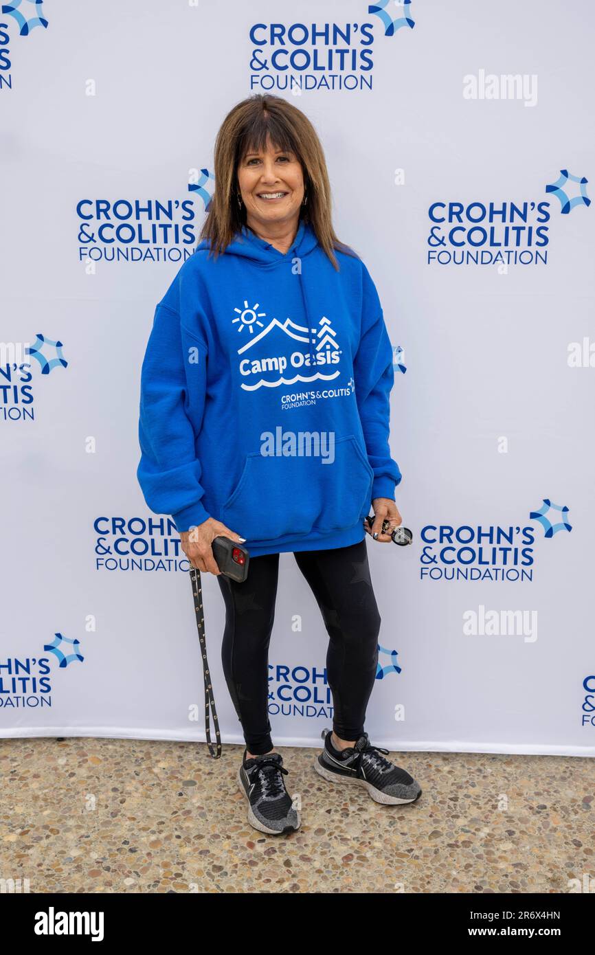 Los Angeles, USA. 11th June, 2023. Co-Chair Cathy Greenly attends Crohn ...