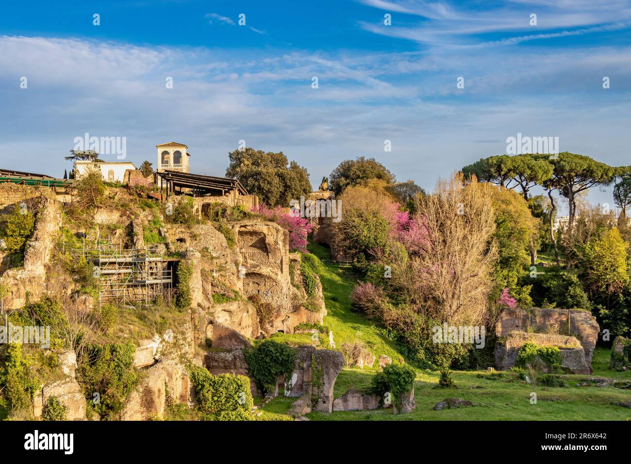 Rome jacaranda tree hi-res stock photography and images - Alamy