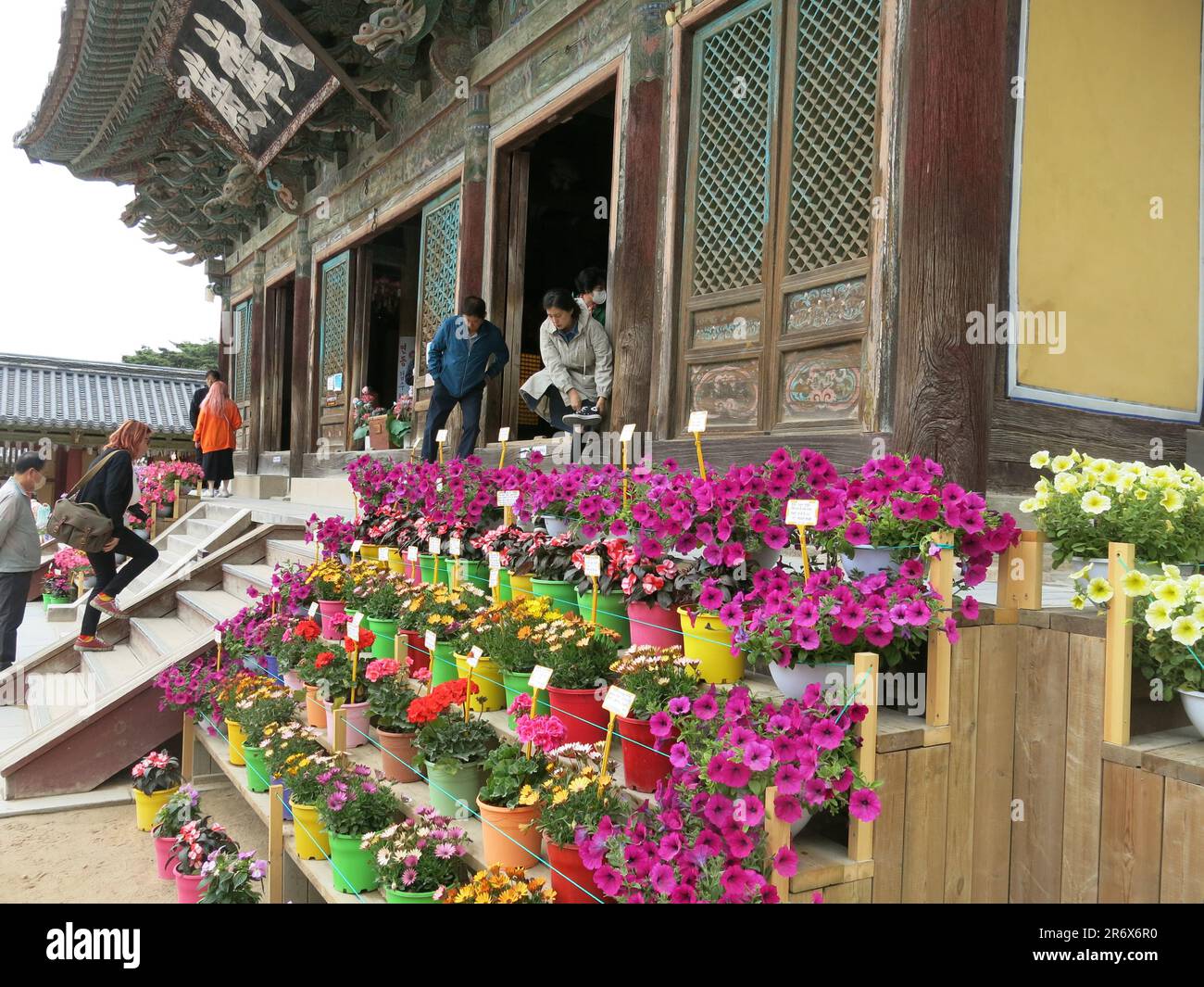 A tiered display of beautiful pots of flowers sit outside one of the ...