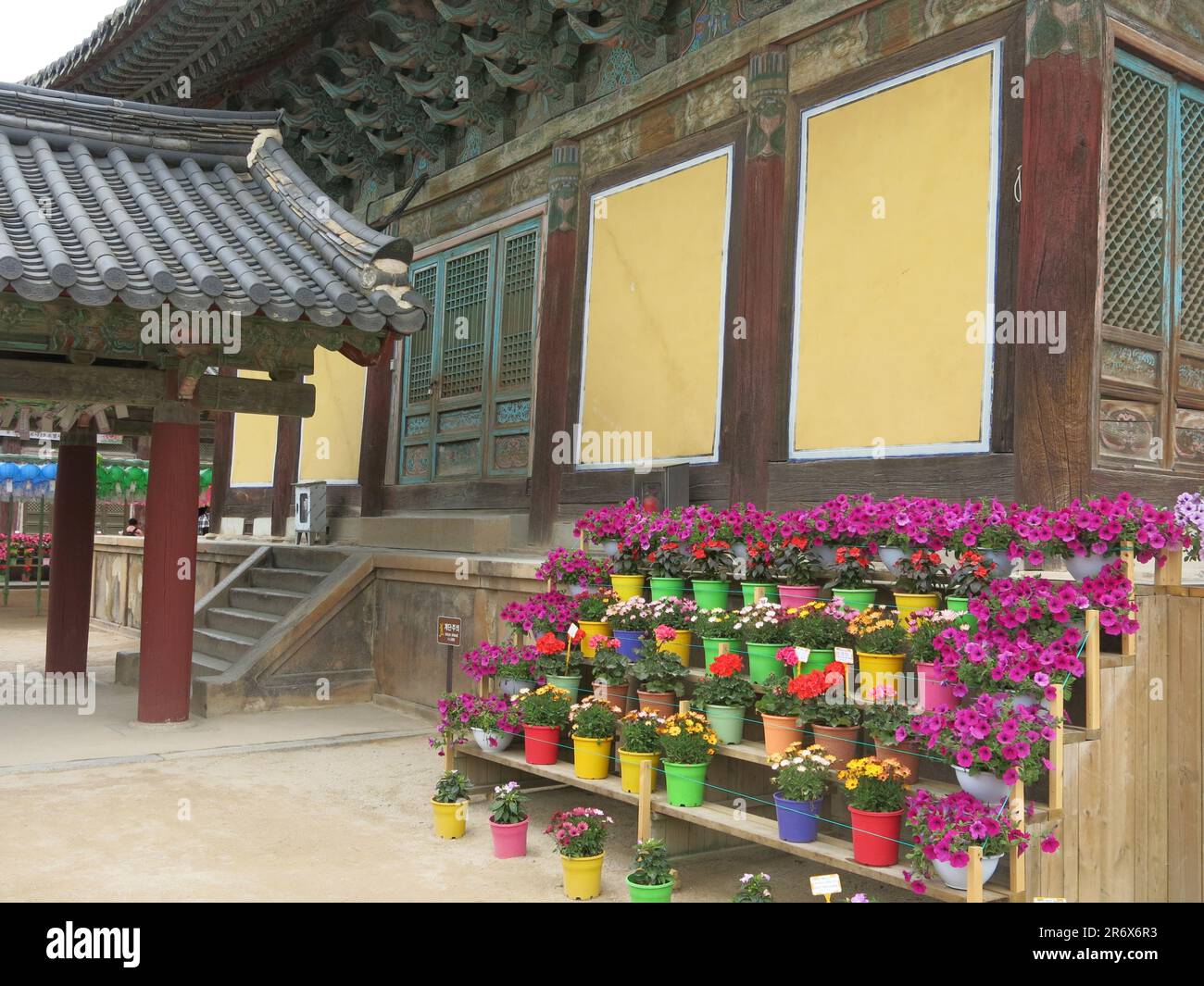 A tiered display of beautiful pots of flowers sit outside one of the ...