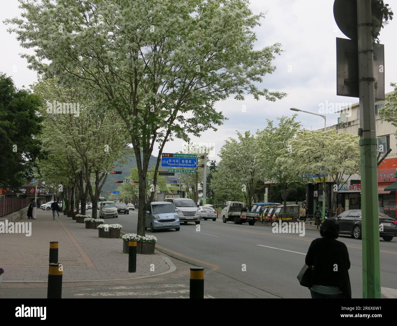 A street scene in the Hwangnamdong area of Gyeongju, South Korea at ...