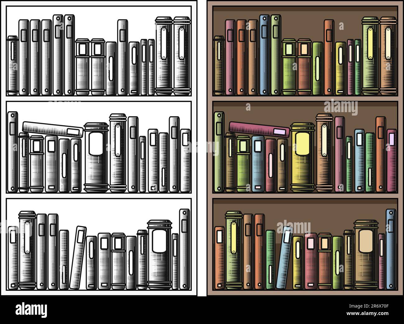 Editable vector illustration of books in a bookcase with all books as ...