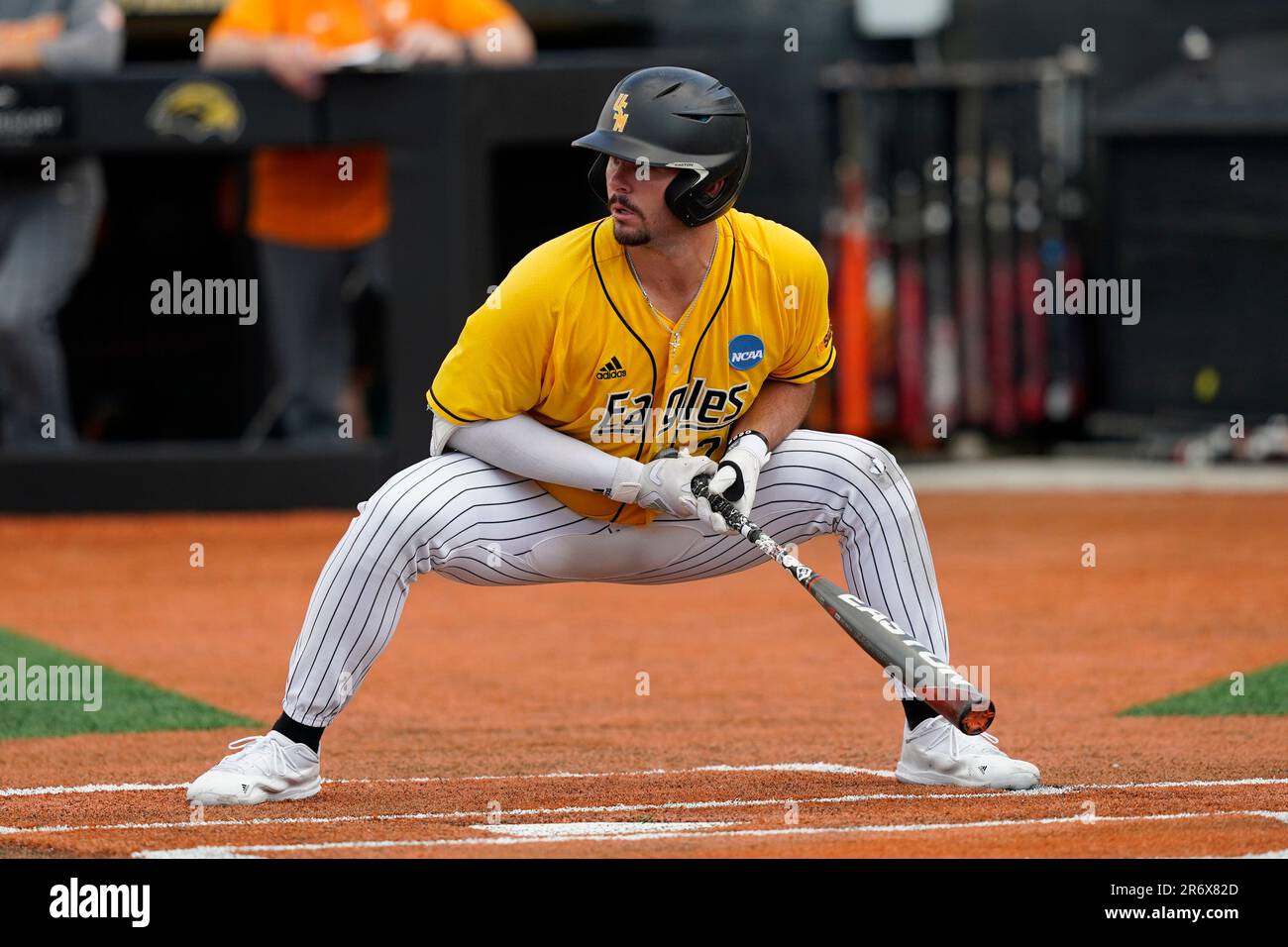 College Softball Batting Stance