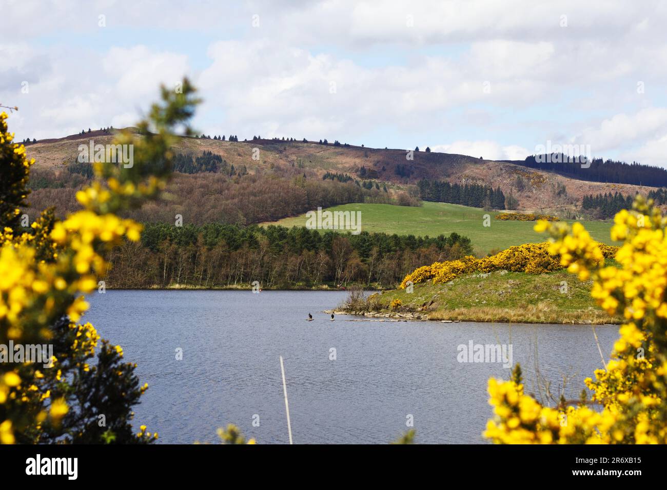 Lochore Meadows Country Park Stock Photo - Alamy