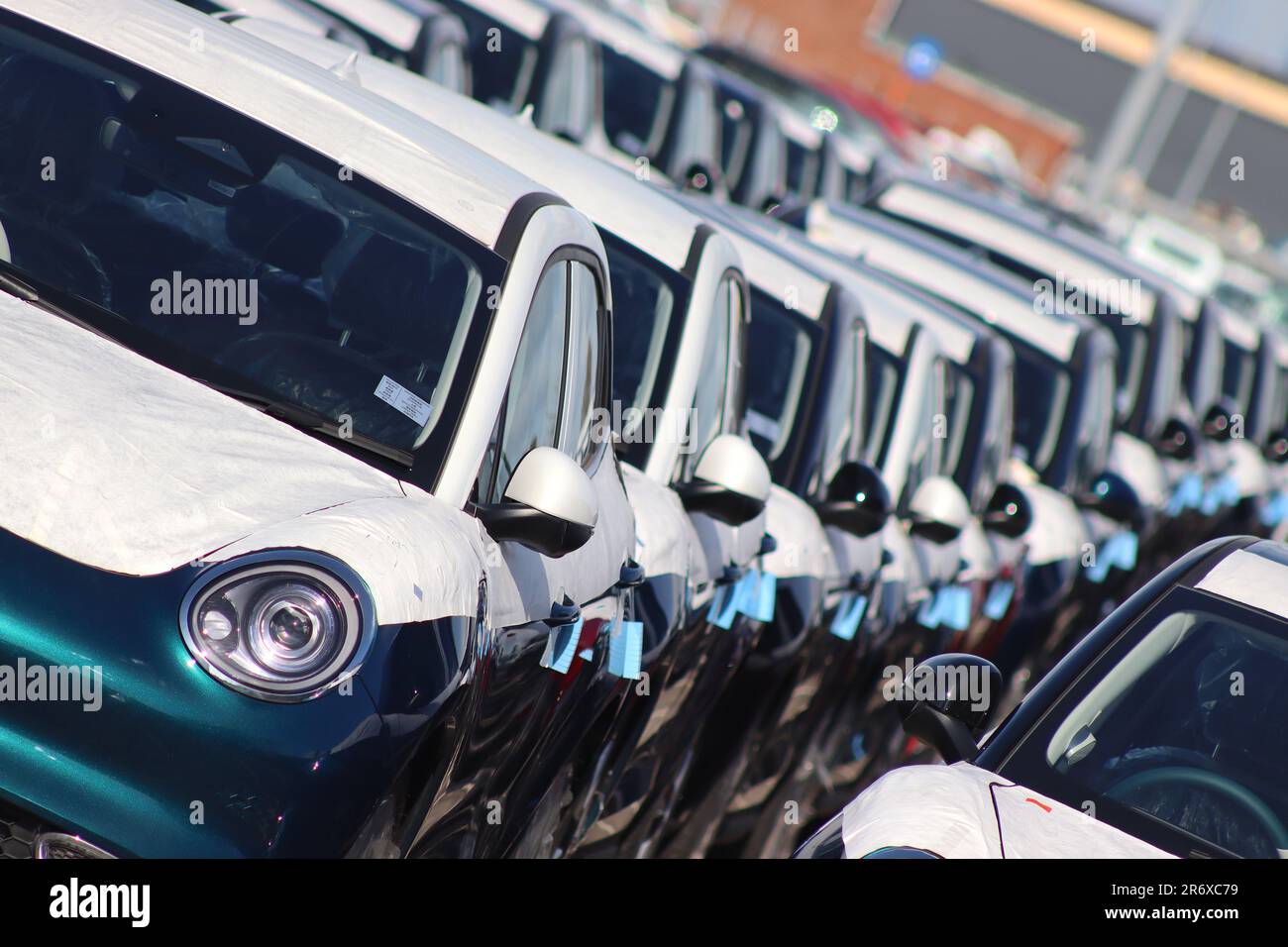 Close up of two rows of newly imported Chinese ARO Funky Cat electric ...