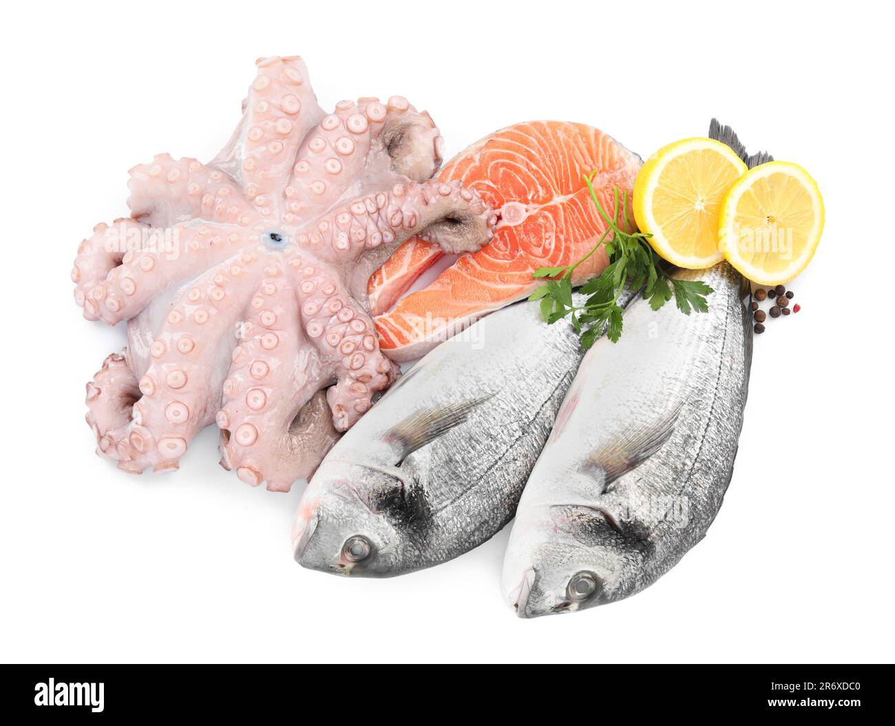 Fresh dorado fish, octopus and salmon on white background, top view ...