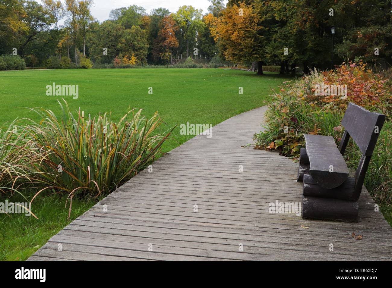Wooden bench near pathway in beautiful public city park Stock Photo - Alamy