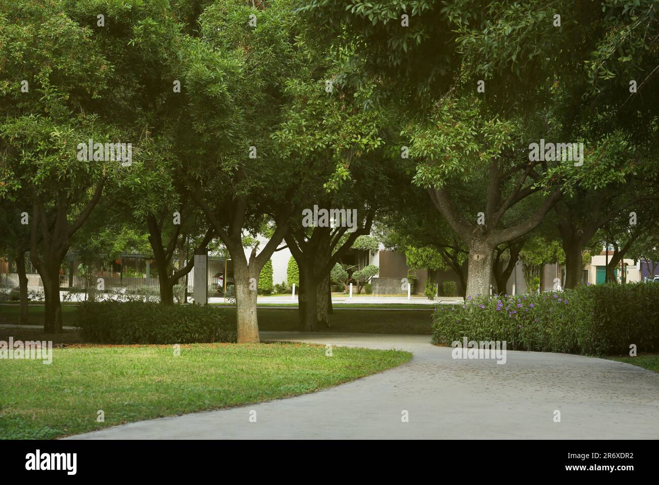Beautiful view of green park with pathway Stock Photo - Alamy