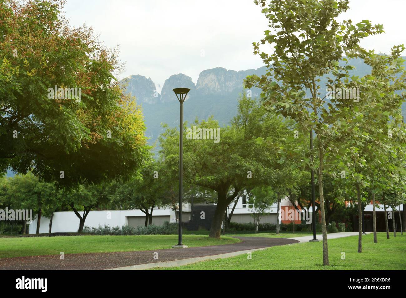 Beautiful view of green park with pathway Stock Photo - Alamy