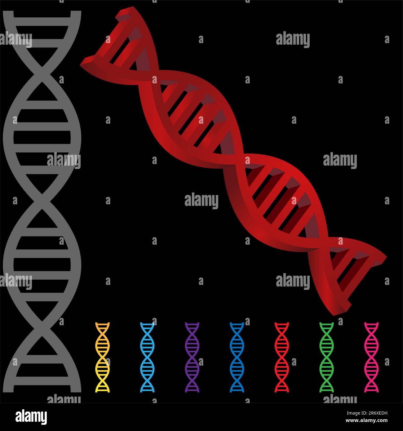 Set of 3D DNA images Stock Vector Image & Art - Alamy