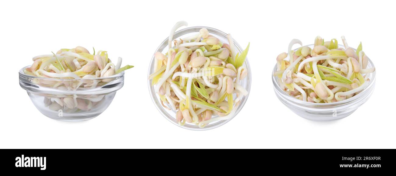 Many mung bean sprouts in glass bowl on white background, different ...