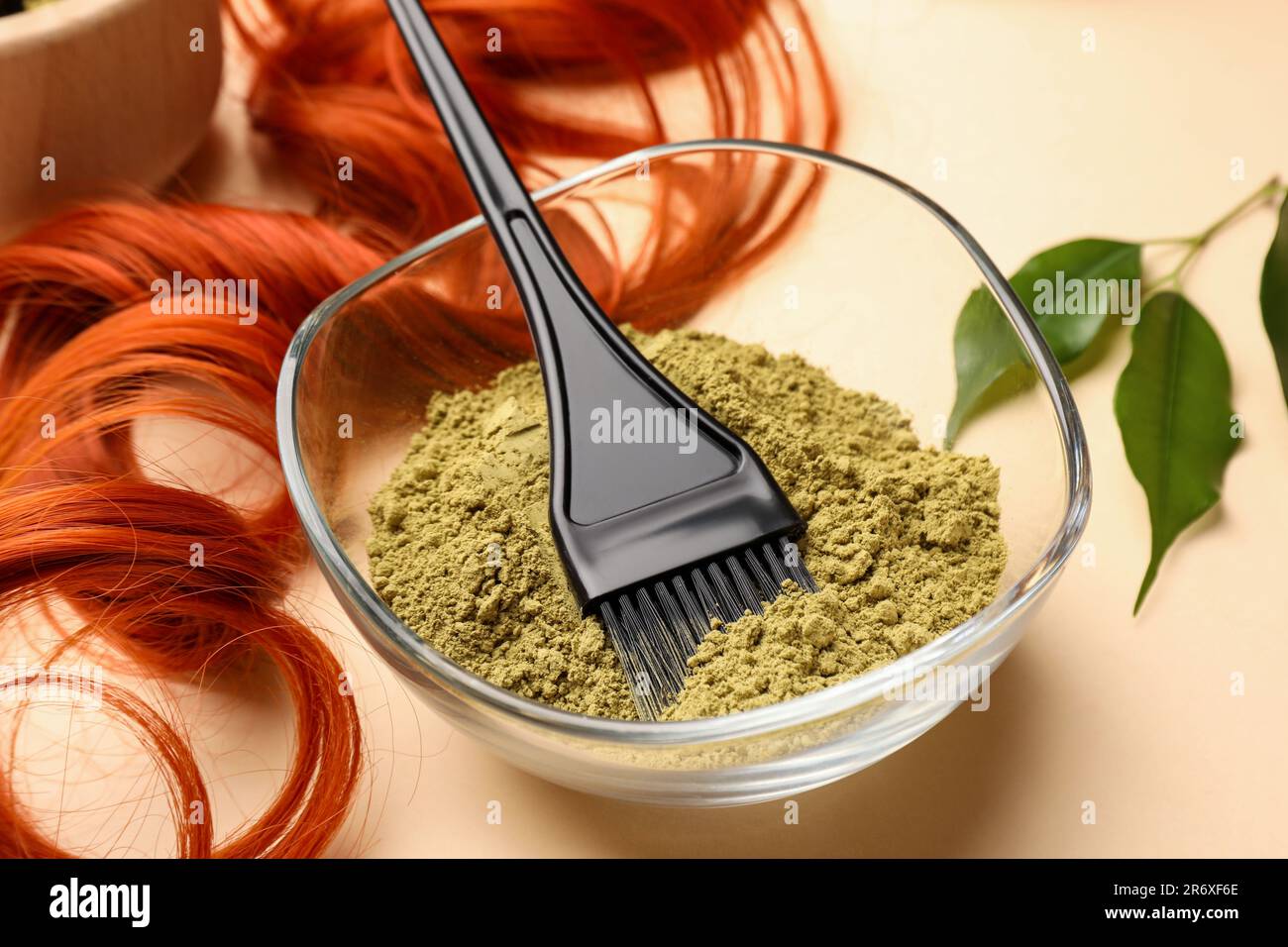 Strand of leaves hi-res stock photography and images - Alamy