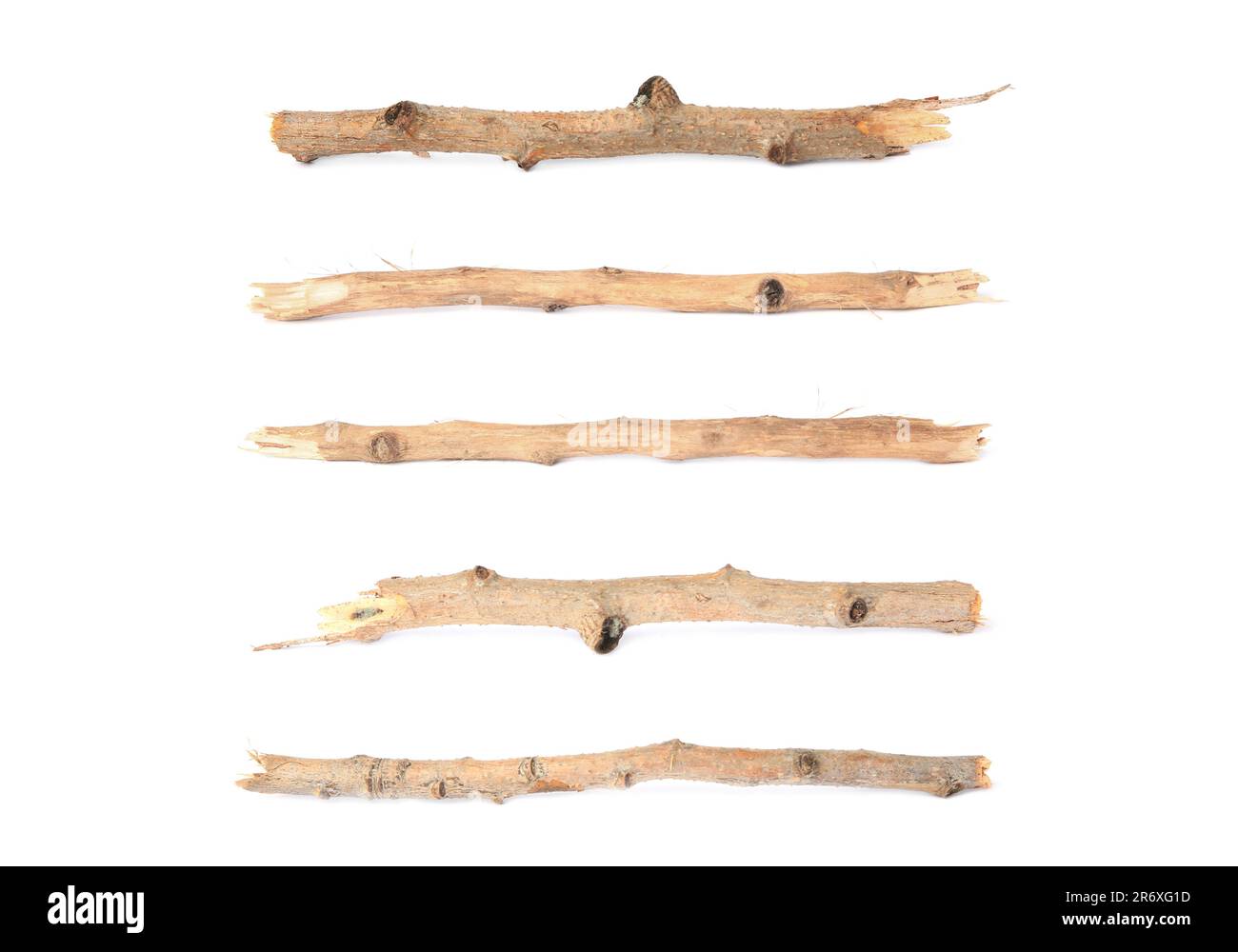 Collage with dry tree twigs on white background, top view Stock Photo ...