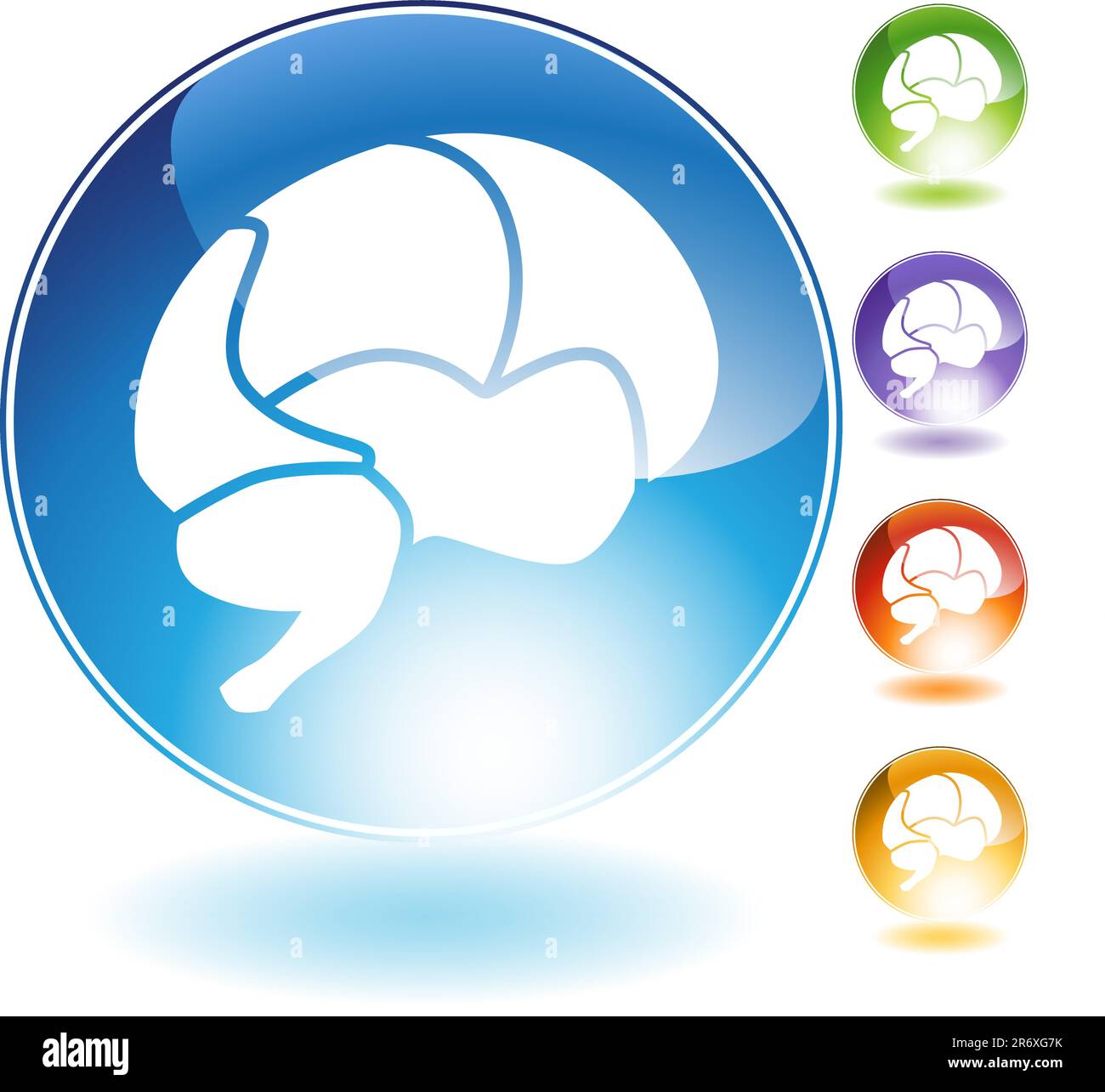 Crystal brain hi-res stock photography and images - Alamy