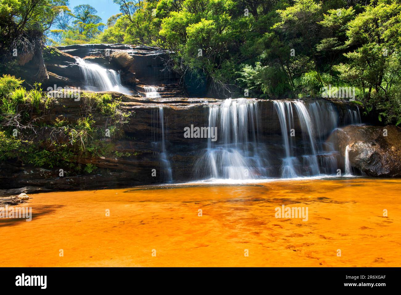 Queens Cascades is a small cascade along Jamison Creek, Wentworth Falls ...