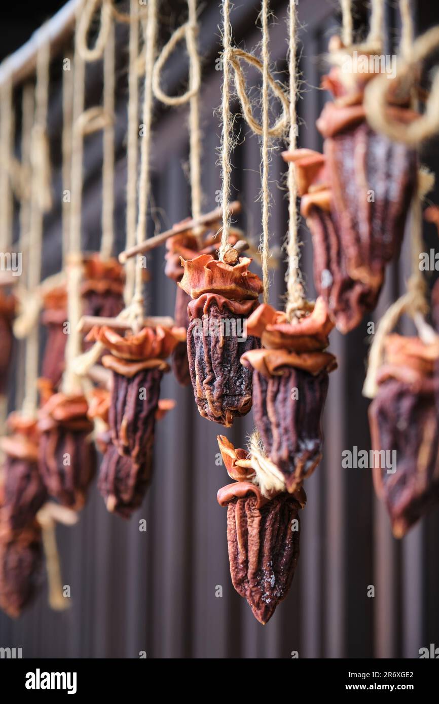 Dried Hachiya Persimmon hanging in a japanese street, Takayama town ...