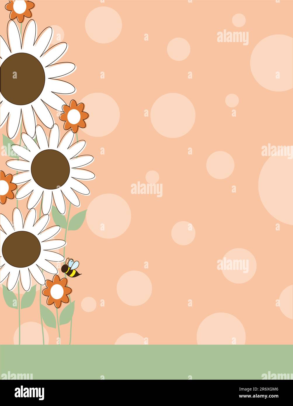 Insect border hi-res stock photography and images - Alamy