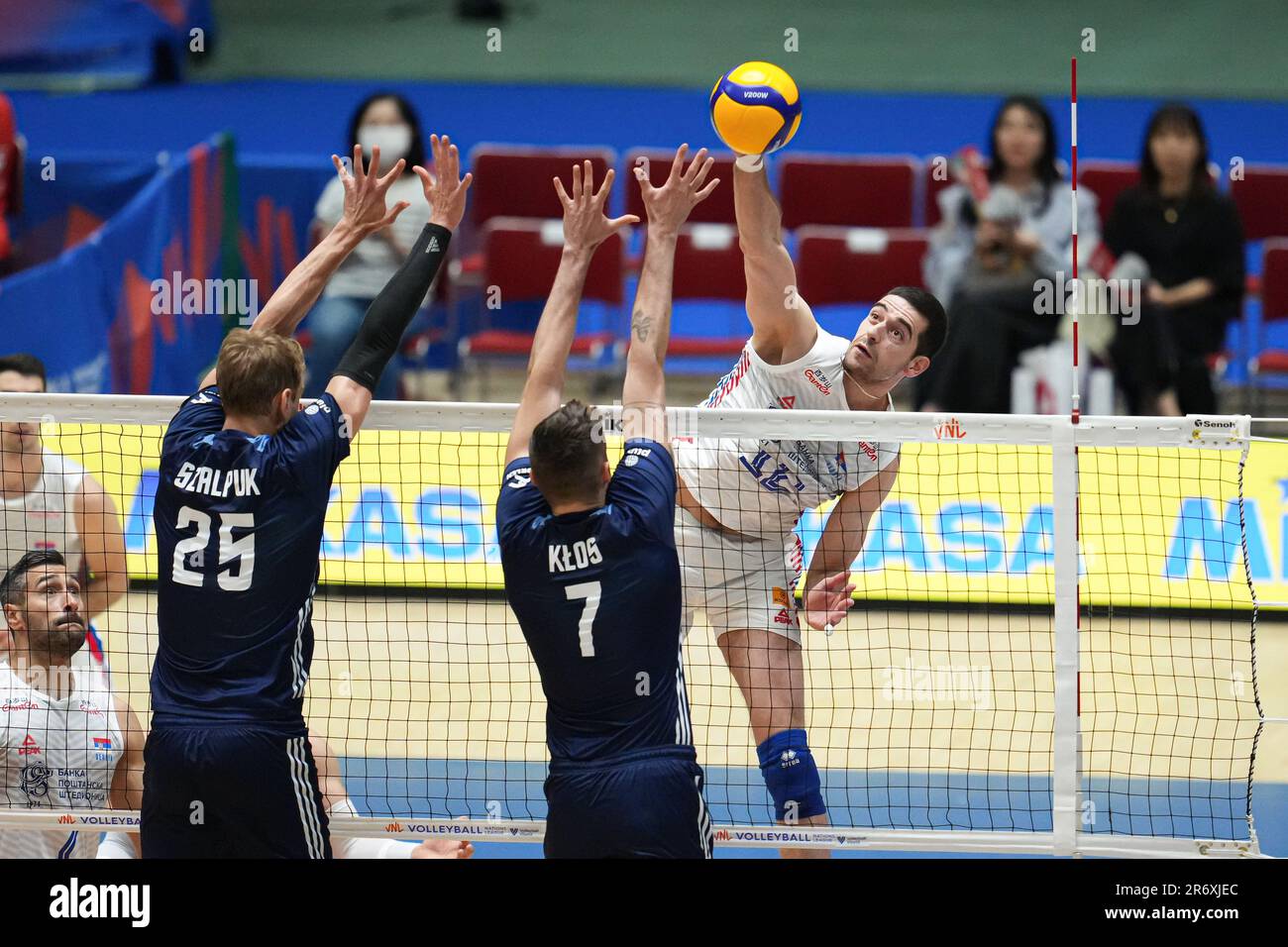 Pavle peric hi-res stock photography and images - Alamy