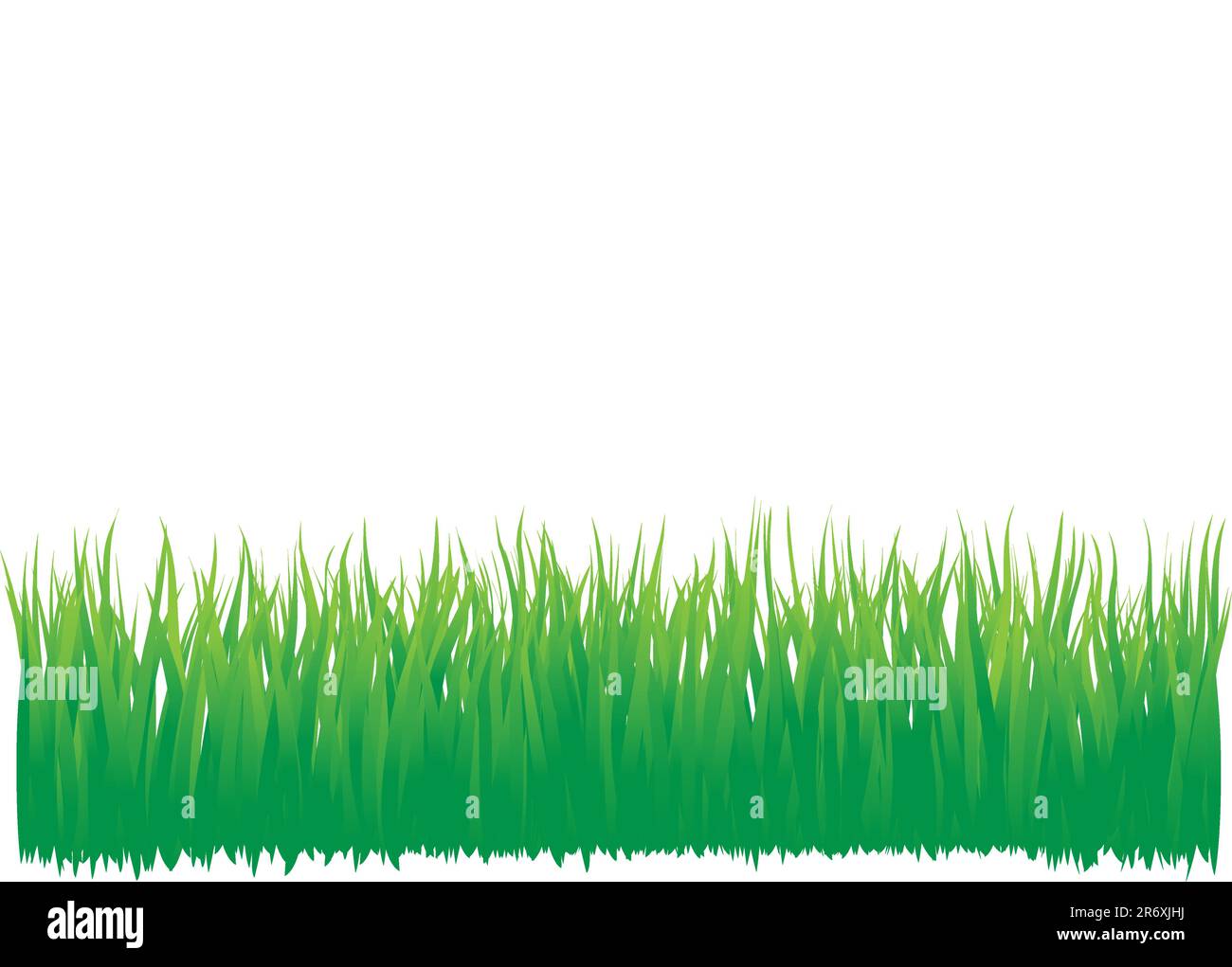 Landscaping garden green grass Cut Out Stock Images & Pictures - Alamy