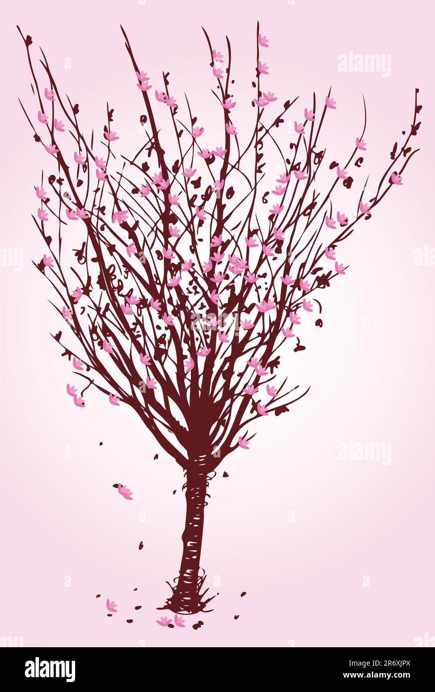 Cherry image Stock Vector Images - Alamy