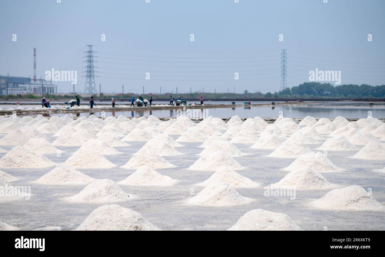 Sea salt farm in Thailand. Brine salt. Raw material of salt industrial ...