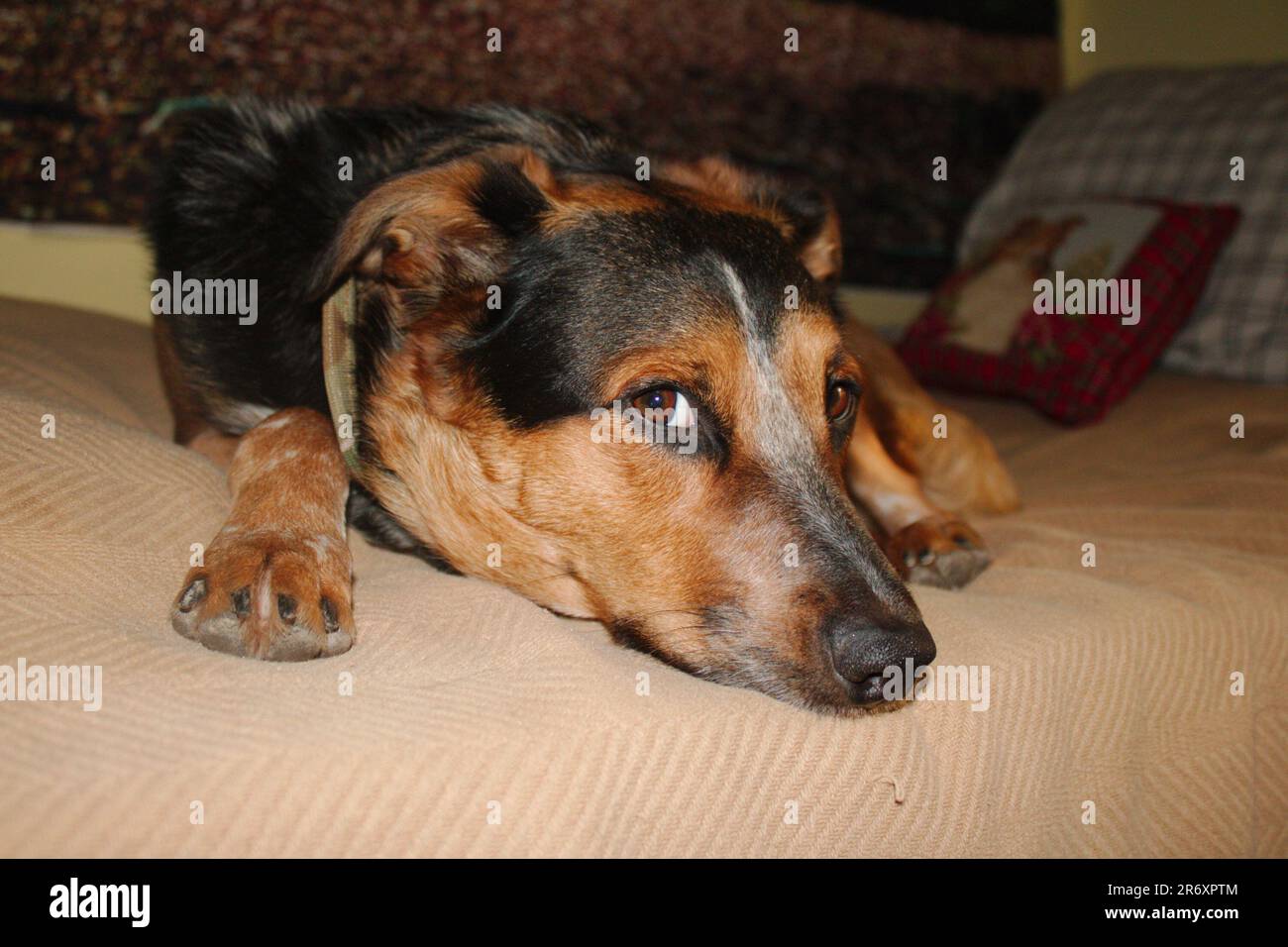 All Worn Out Stock Photo - Alamy