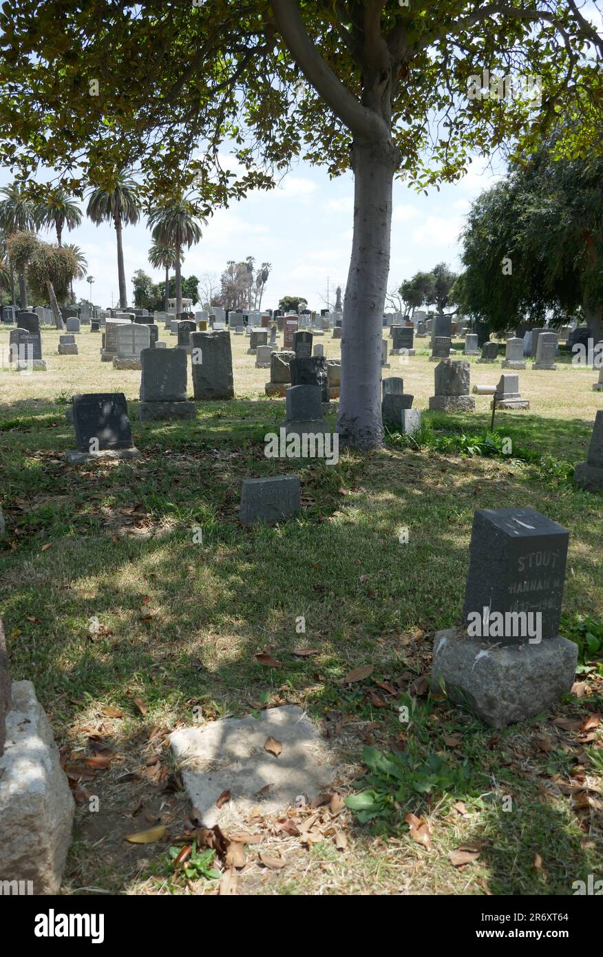 Los Angeles, California, USA 8th June 2023 Murder Victim Joel Scheck ...