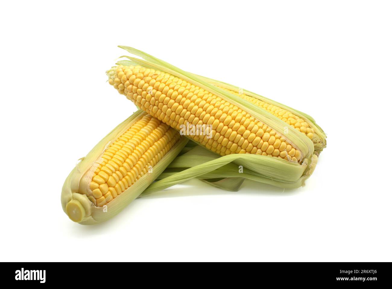 Fresh raw maize or corn on the cob with leaves isolated on white ...