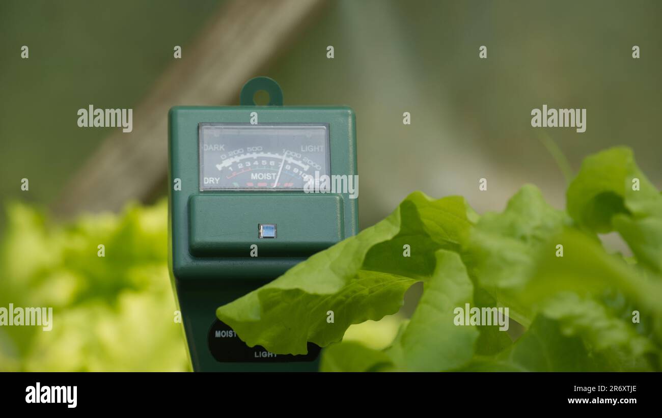 Green plants and three way meter PH, light and moisture in the soil ...