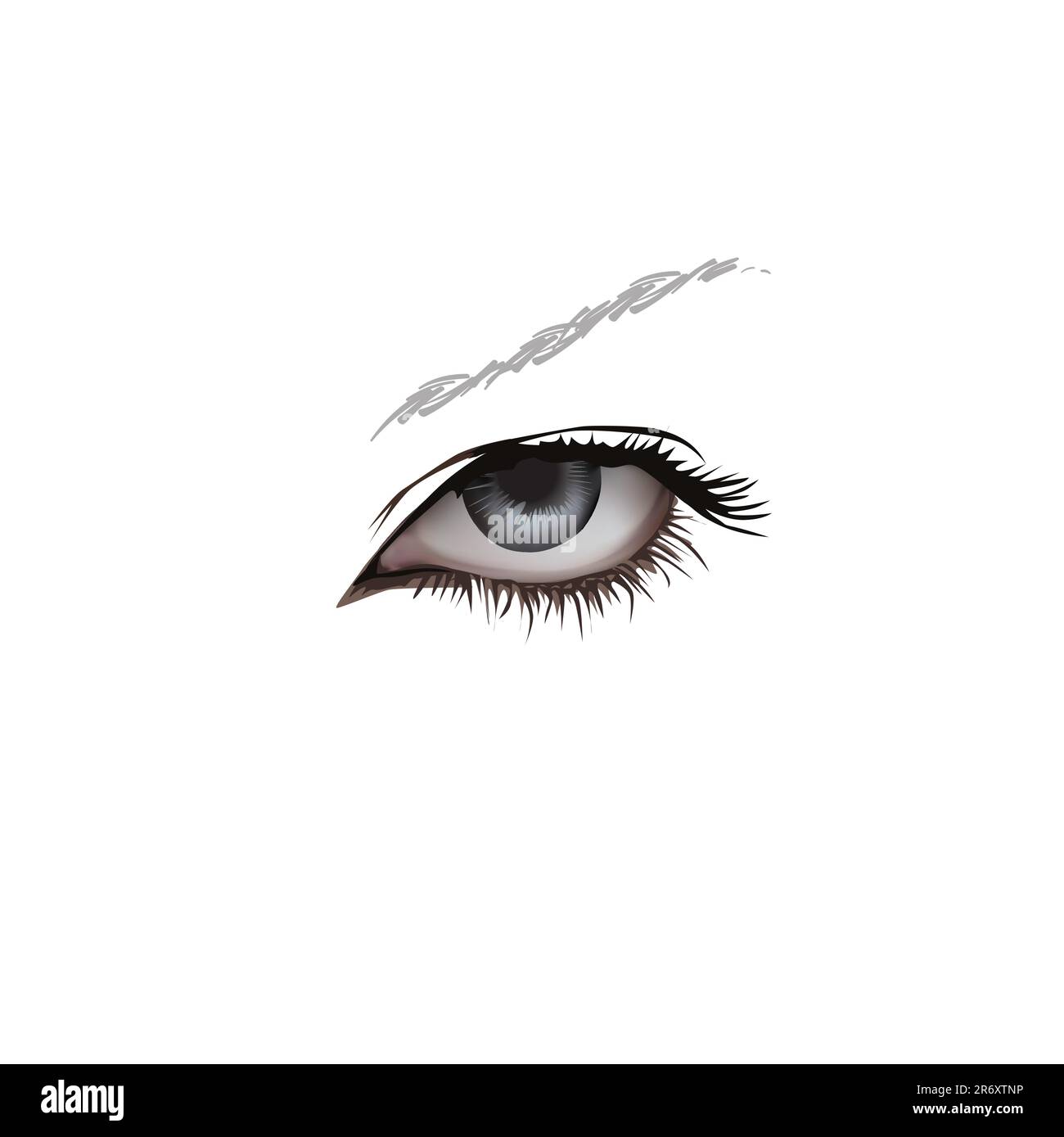 The left human eye on a white background. vector Stock Vector Image ...