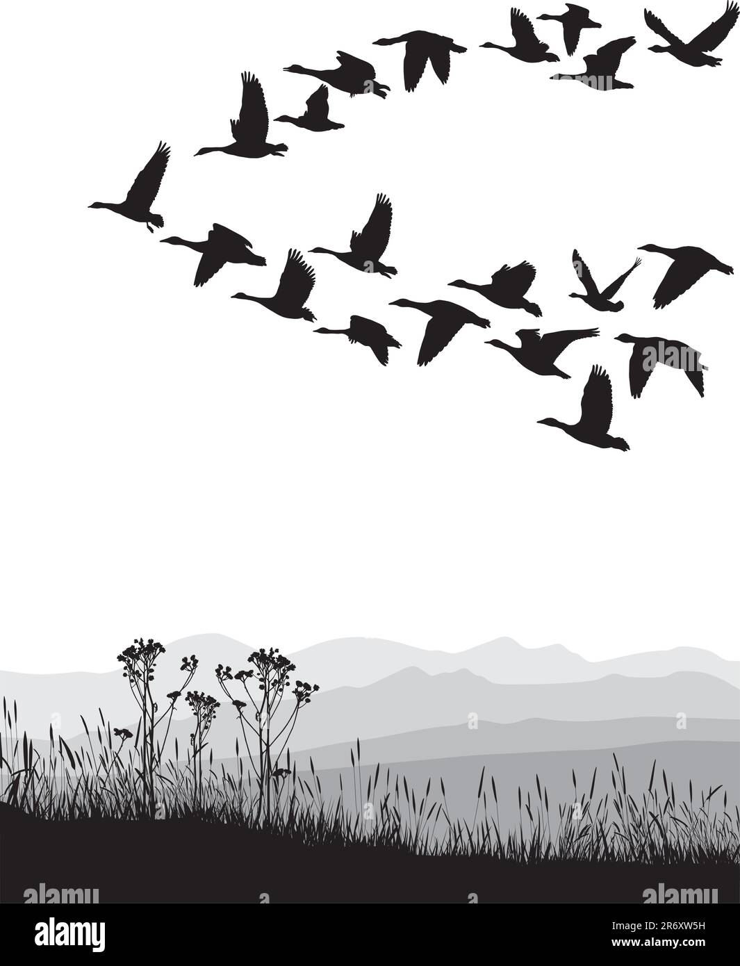 Color illustration of the flying geese Stock Vector Image & Art - Alamy