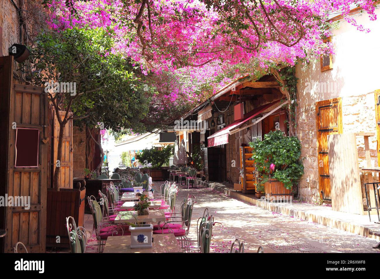 Beirut alleyway hi-res stock photography and images - Alamy