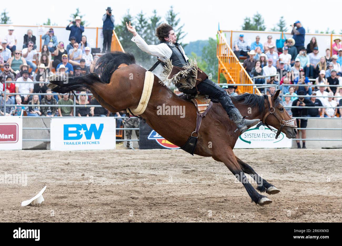 Ram rodeo tour hi-res stock photography and images - Alamy