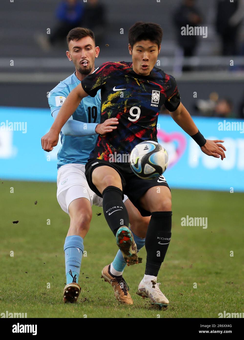 Hadar fuchs hi-res stock photography and images - Alamy