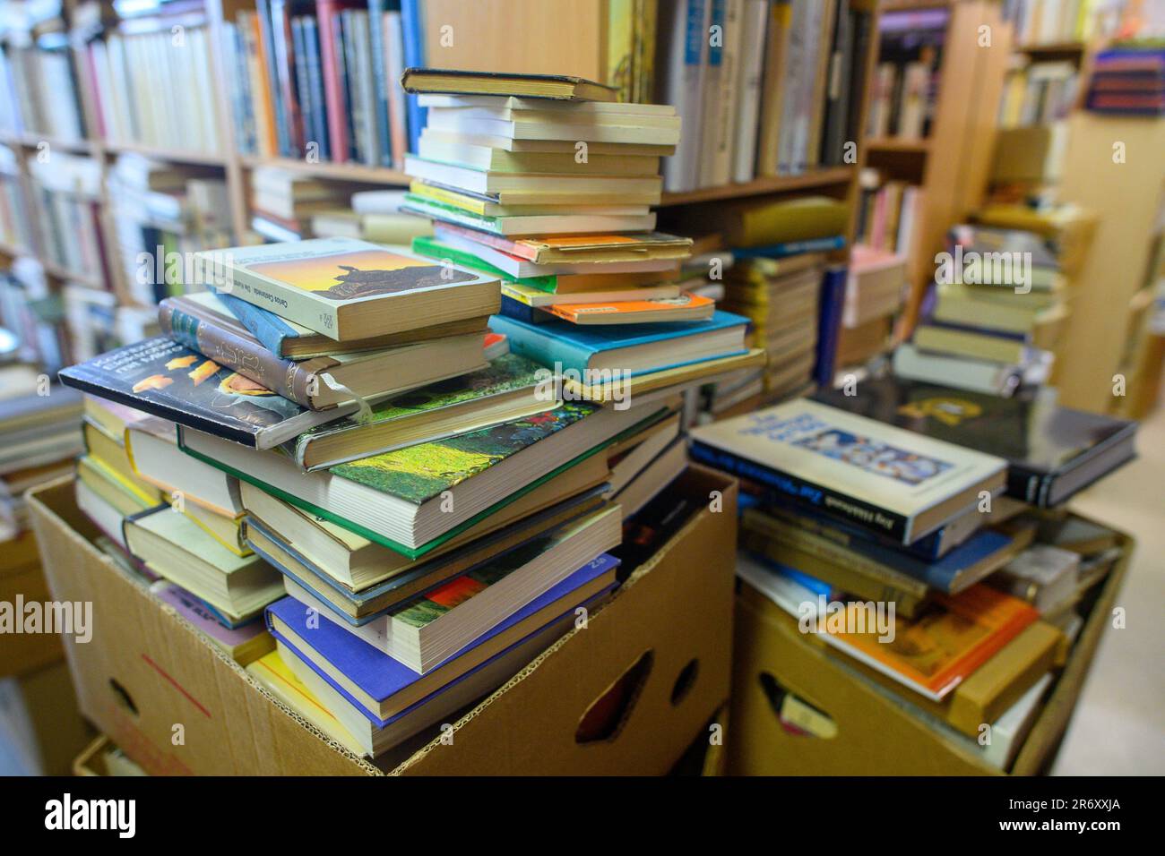 PRODUCTION - 25 May 2023, Saxony-Anhalt, Mühlbeck: Countless books are ...