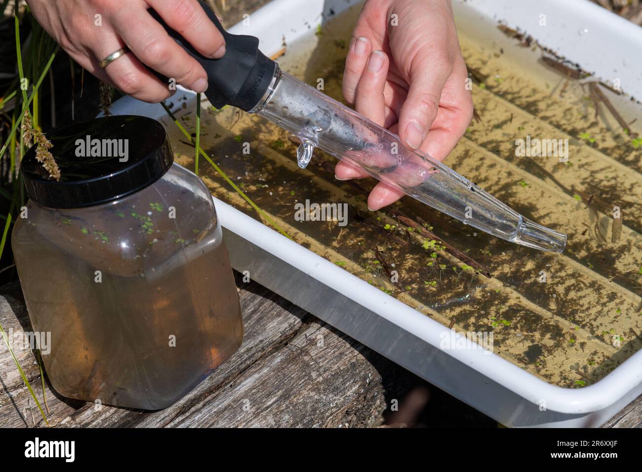 Mandy moore 2023 hi-res stock photography and images - Alamy