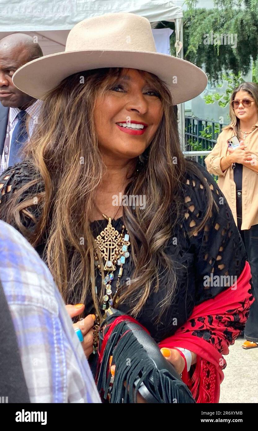Pam Grier arriving the premiere of "Cinnamon" at the 2023 Tribeca Film ...