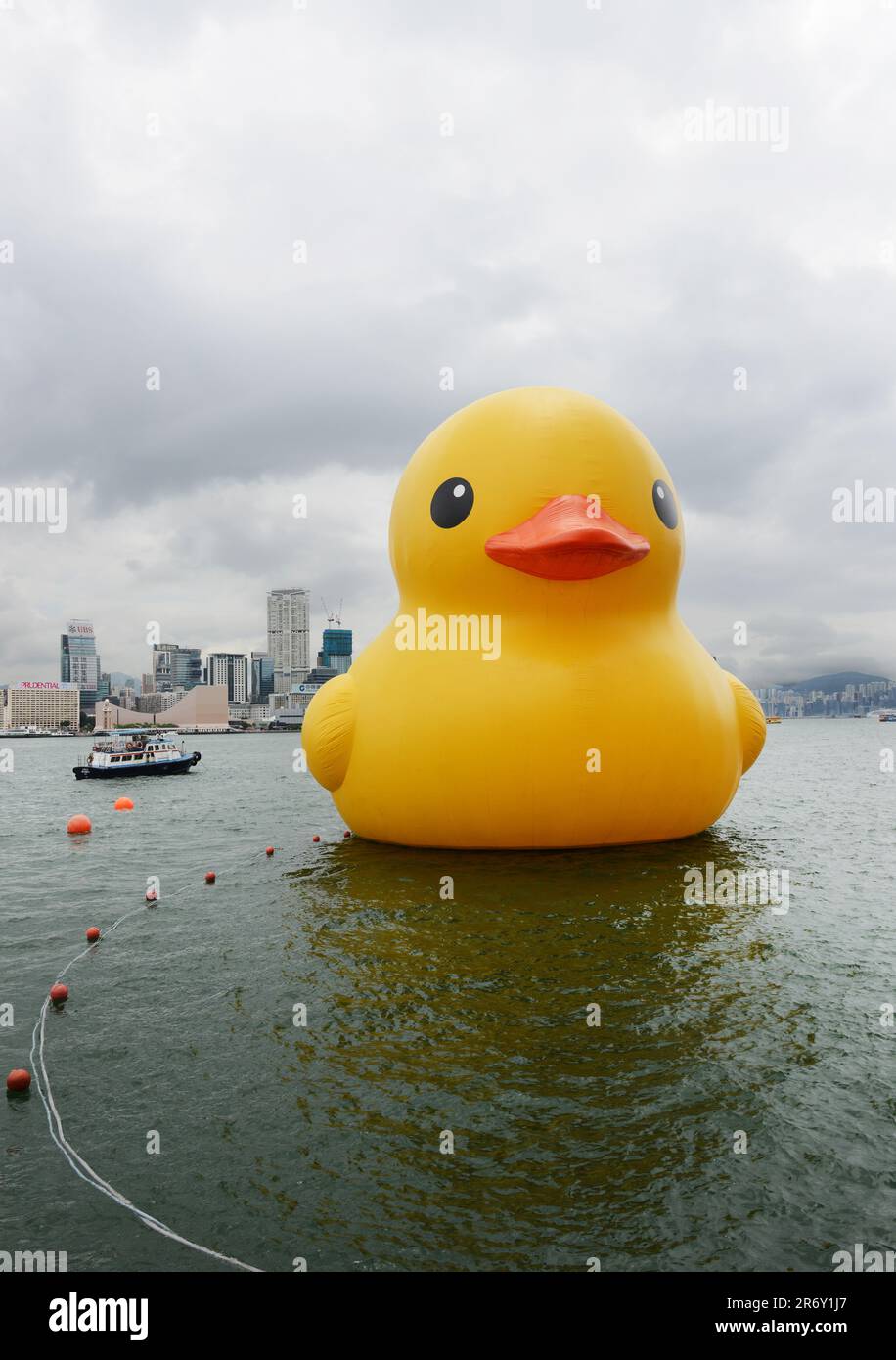 The Rubber Duck by Florentijn Hofman returns to Hong Kong Stock Photo ...
