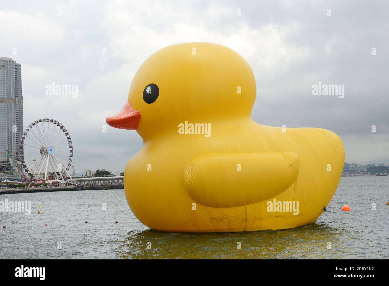 The Rubber Duck by Florentijn Hofman returns to Hong Kong Stock Photo ...