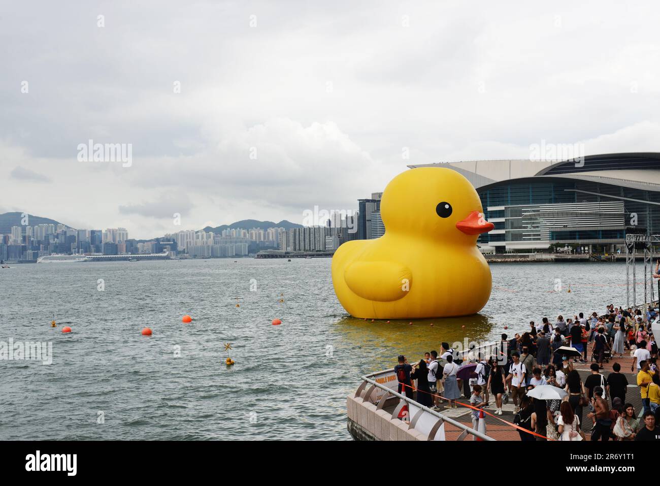 The Rubber Duck by Florentijn Hofman returns to Hong Kong Stock Photo ...