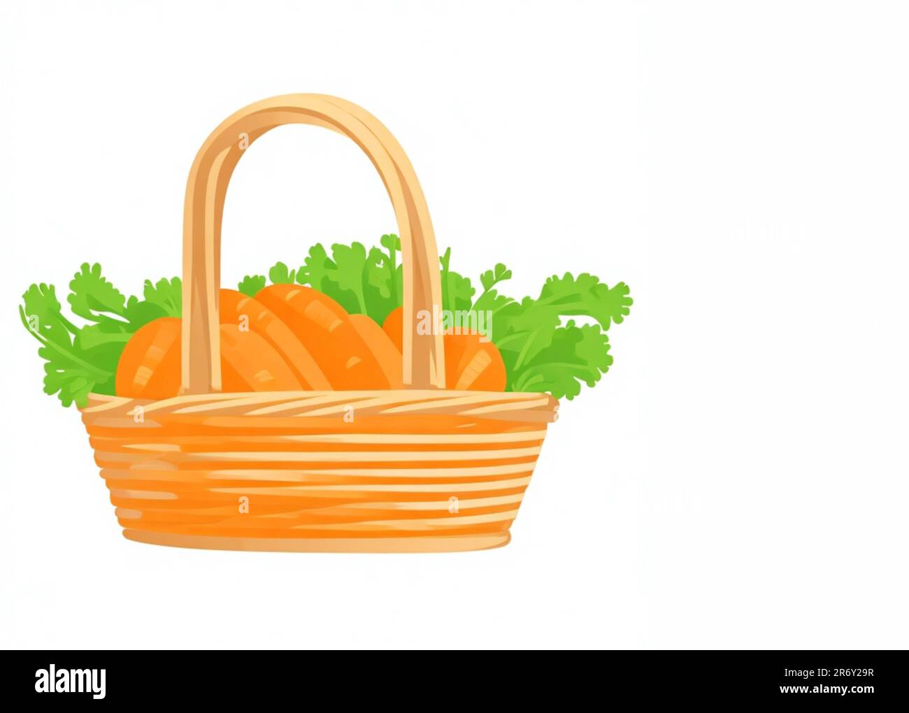 fresh beautiful carrot vegetable copy space for text isolated on white ...