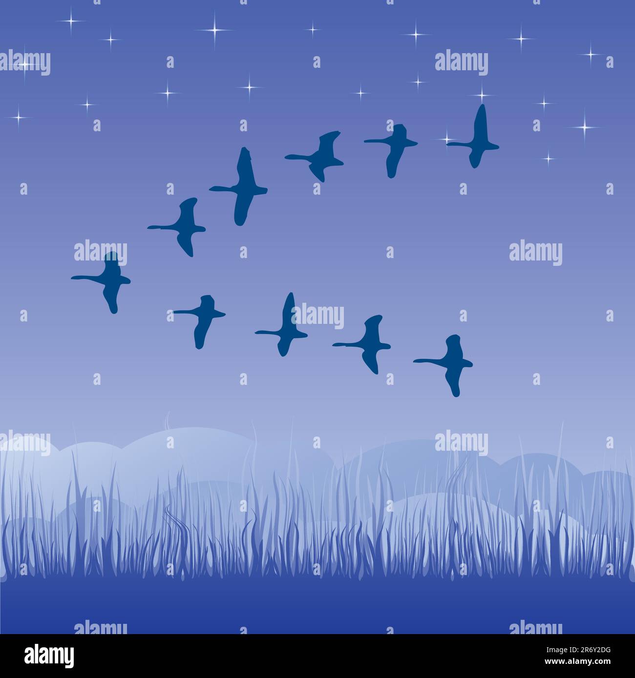 Global birds Stock Vector Images - Alamy