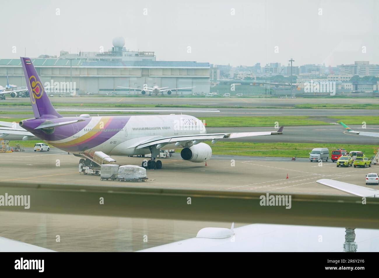 Thai Airways Flight TG683 (A330-300, Reg, HS-TEO), which collided with ...