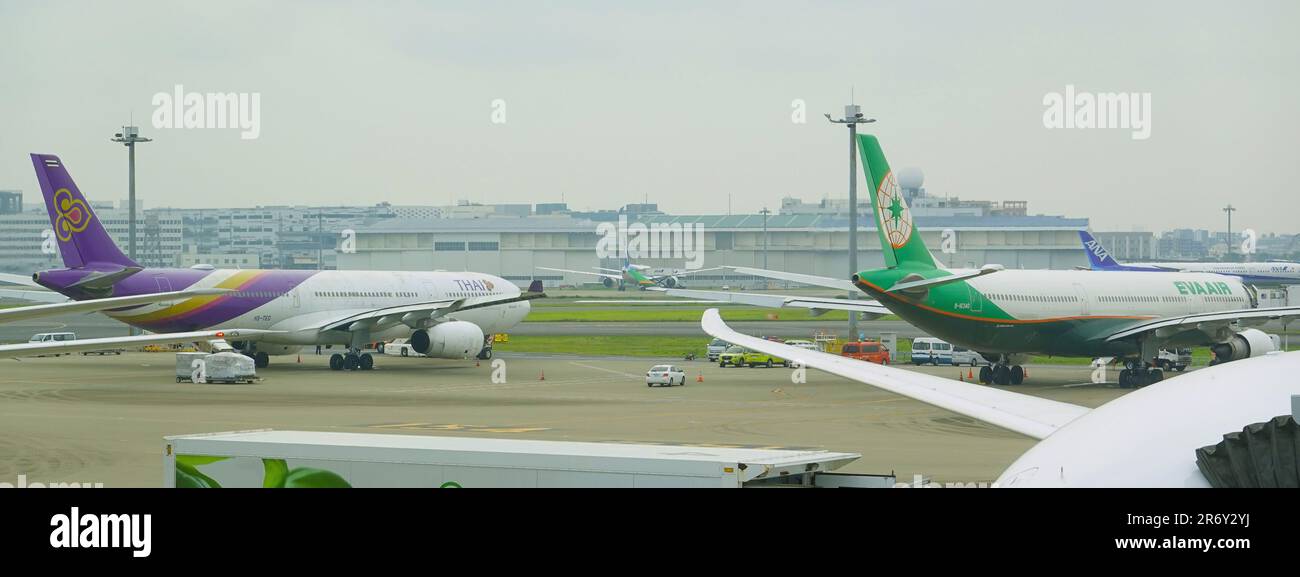 Thai Airways Flight TG683 (left, A330-300, Reg, HS-TEO), which collided ...