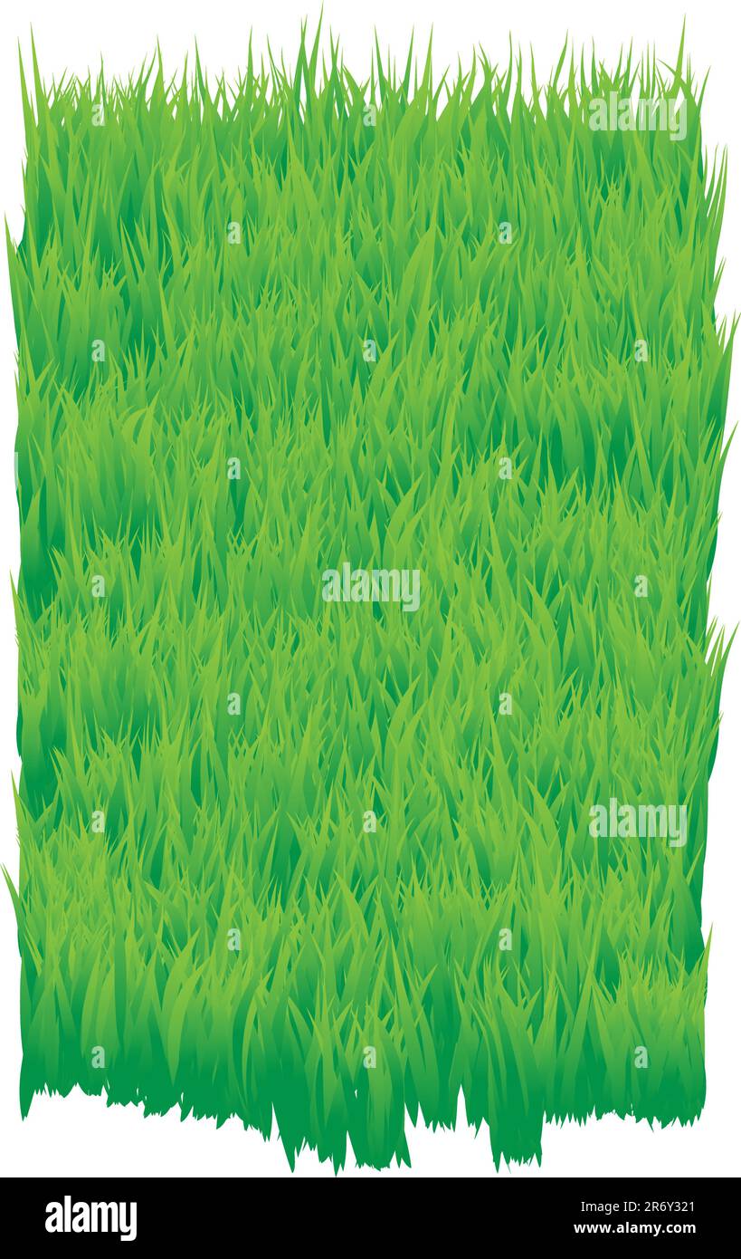 Green grass background Stock Vector Images - Alamy
