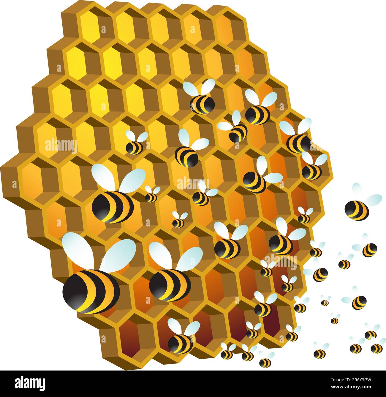 An image of honey bees and comb Stock Vector Image & Art - Alamy