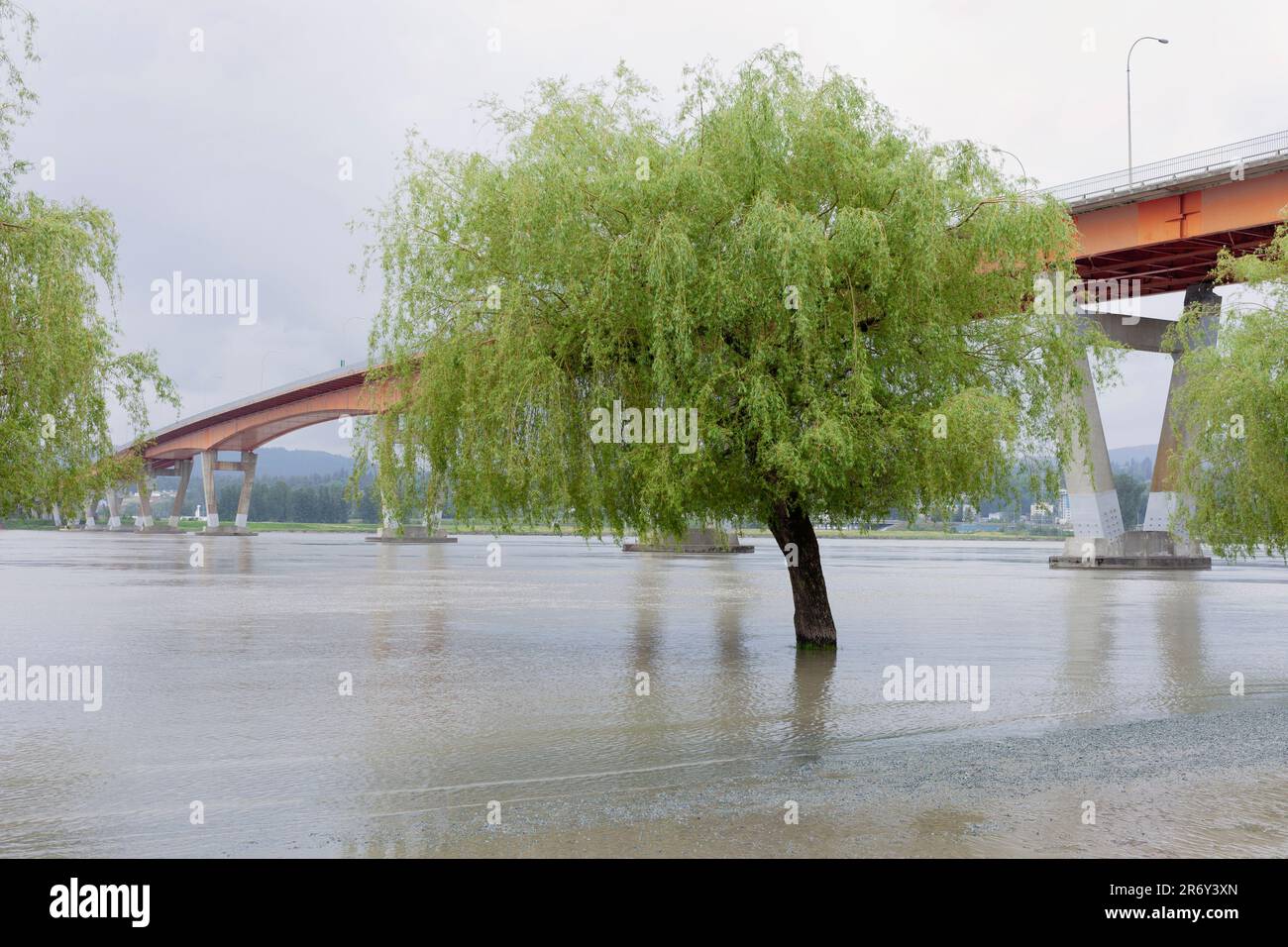 Fraser River spring flooding and bridge, Mission BC Canada Stock Photo ...