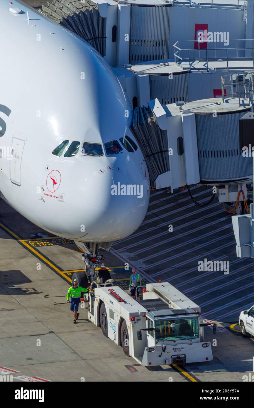 A Qantas A380 aircraft and aircraft tug truck at the passenger loading ...