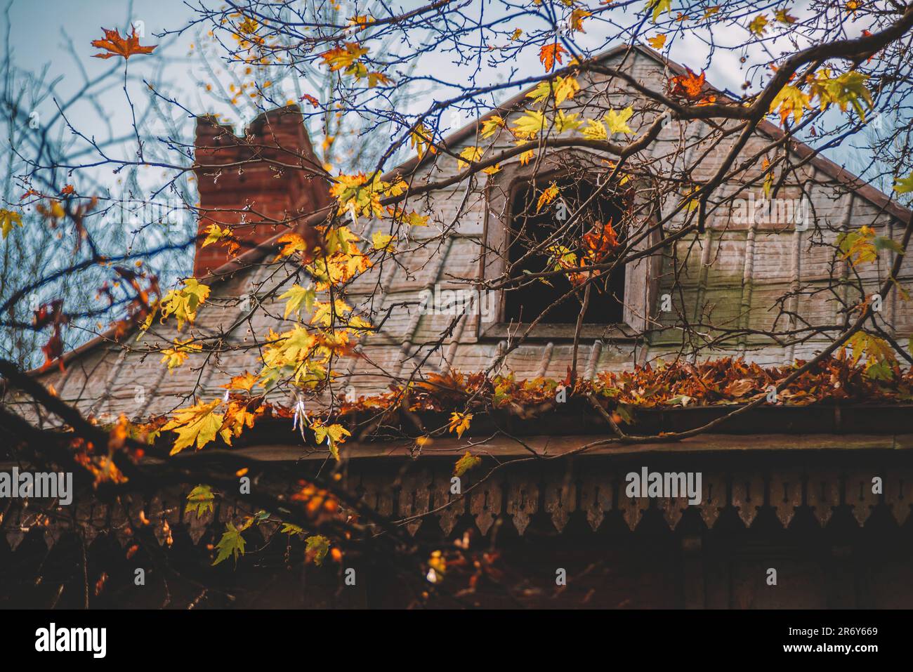 Autumn leaves and old vintage building roof Stock Photo - Alamy