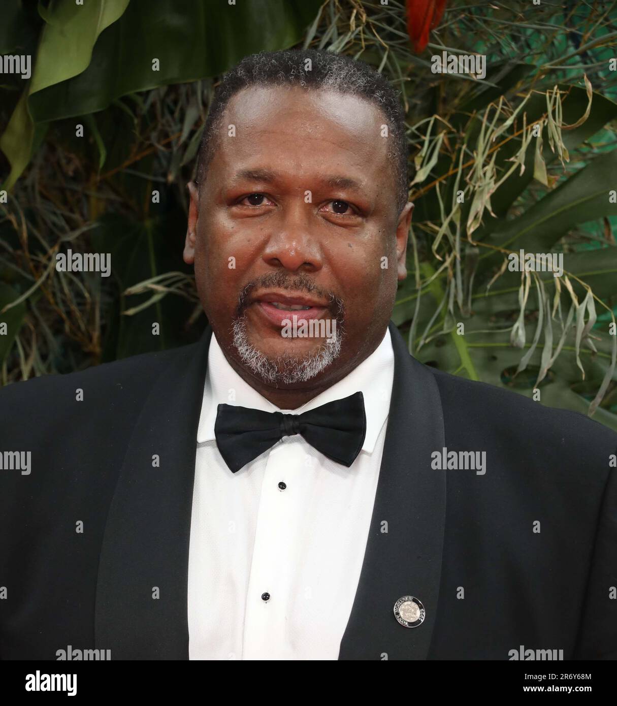 June 11, 2023, New York City, New York, USA: Actor WENDELL PIERCE seen ...